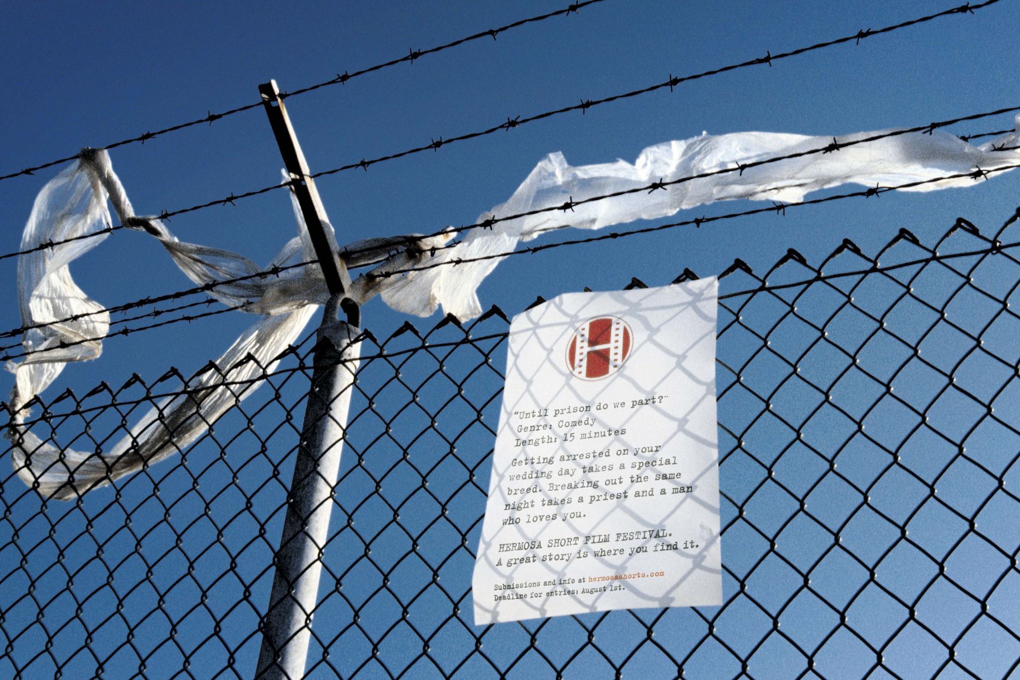 Hermosa Shorts - Details - nappertandy